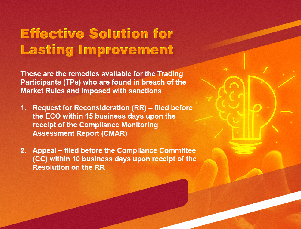 Effective Solution for Lasting Improvement | Philippine Electricity ...